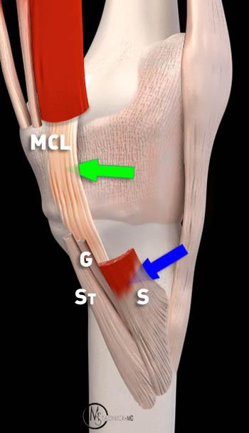 301 Moved Permanently